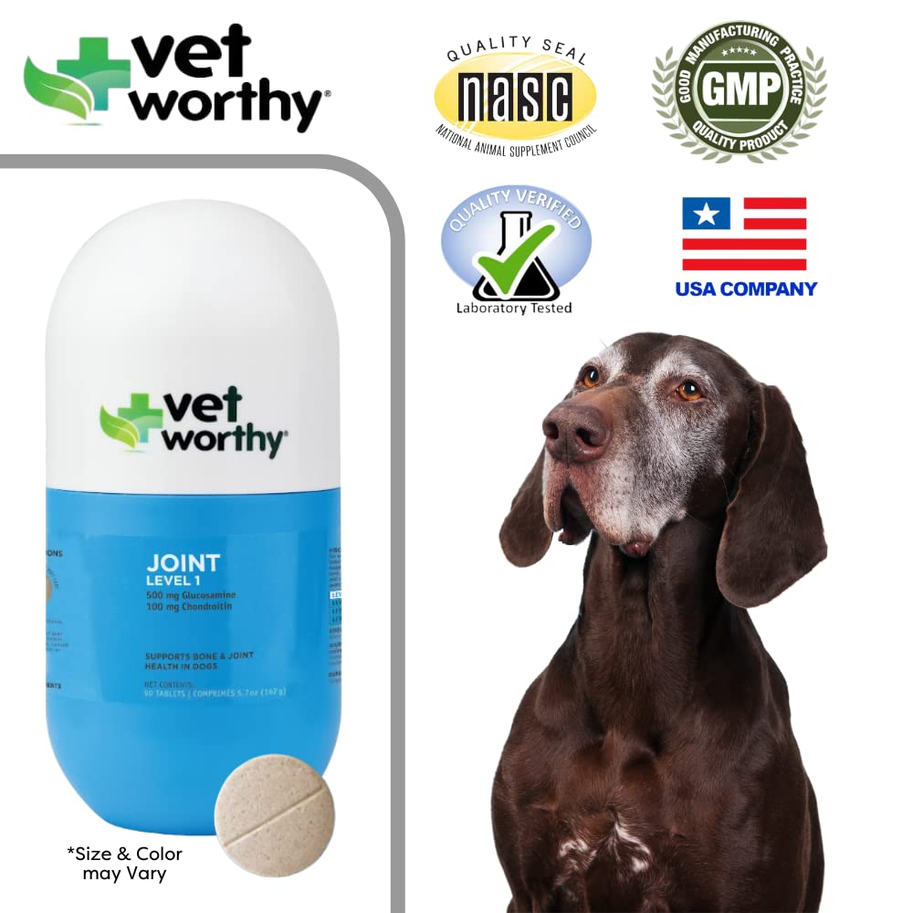 Vet Worthy Joint Support Level 1 Liver Flavored Chewable Tablet for Dogs (90 ct)