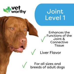 Vet Worthy Joint Support Level 1 Liver Flavored Chewable Tablet for Dogs (90 ct)