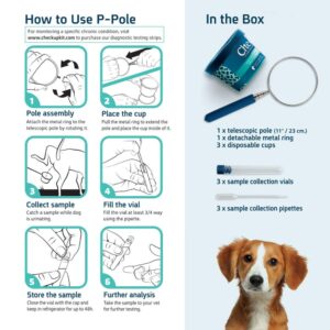 CheckUp P-Pole - Dog Urine Collection Pack - Telescopic Pole, Cups, Pipettes & Vials - A New Innovative, Do It Yourself Approach to Collect Your Dogs Urine at Home and Have it Ready for Testing