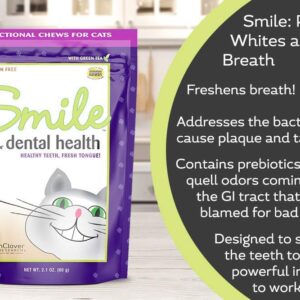 In Clover Smile Daily Dental Health Soft Chews for Cats (10.5 Oz) & Flow Soft Chews for Cats, Daily Support for UT Health (10.5 Oz)