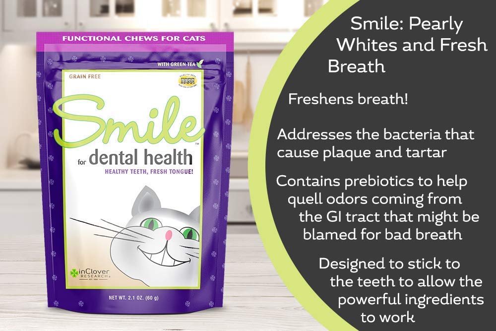 In Clover Smile Daily Dental Health Soft Chews for Cats (10.5 Oz) & Flow Soft Chews for Cats, Daily Support for UT Health (10.5 Oz)