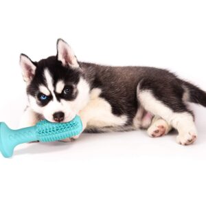 OUQIQI Dog Toothbrush Chew Toys Natural Rubber Toothbrush Toys for Dog