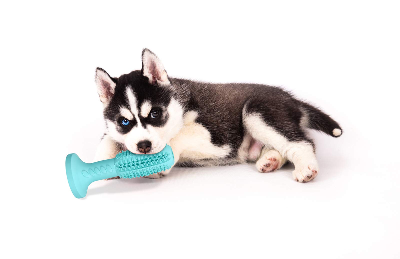 OUQIQI Dog Toothbrush Chew Toys Natural Rubber Toothbrush Toys for Dog