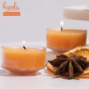 HYOOLA Scented Tealight Candles - Clear Cup - Winter Orange Tealight Candles Scented - 6 Hour Burn Time - 15 Pack - European Made