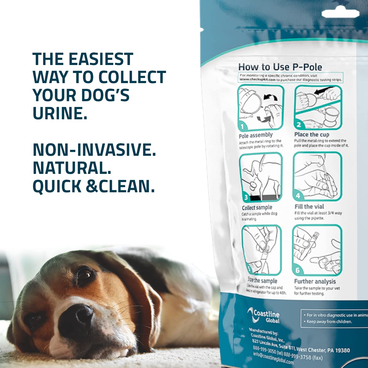 CheckUp P-Pole - Dog Urine Collection Pack - Telescopic Pole, Cups, Pipettes & Vials - A New Innovative, Do It Yourself Approach to Collect Your Dogs Urine at Home and Have it Ready for Testing