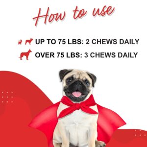 WONDER PAWS Probiotic Superhero Chews Plus Heart + Vitality Chews - for Dog’s Gut Health, Digestion, Immune Support, Heart Health & Circulation - Probiotic 90 Chews - Heart + Vitality 90 Chews