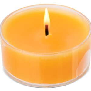 HYOOLA Scented Tealight Candles - Clear Cup - Winter Orange Tealight Candles Scented - 6 Hour Burn Time - 15 Pack - European Made