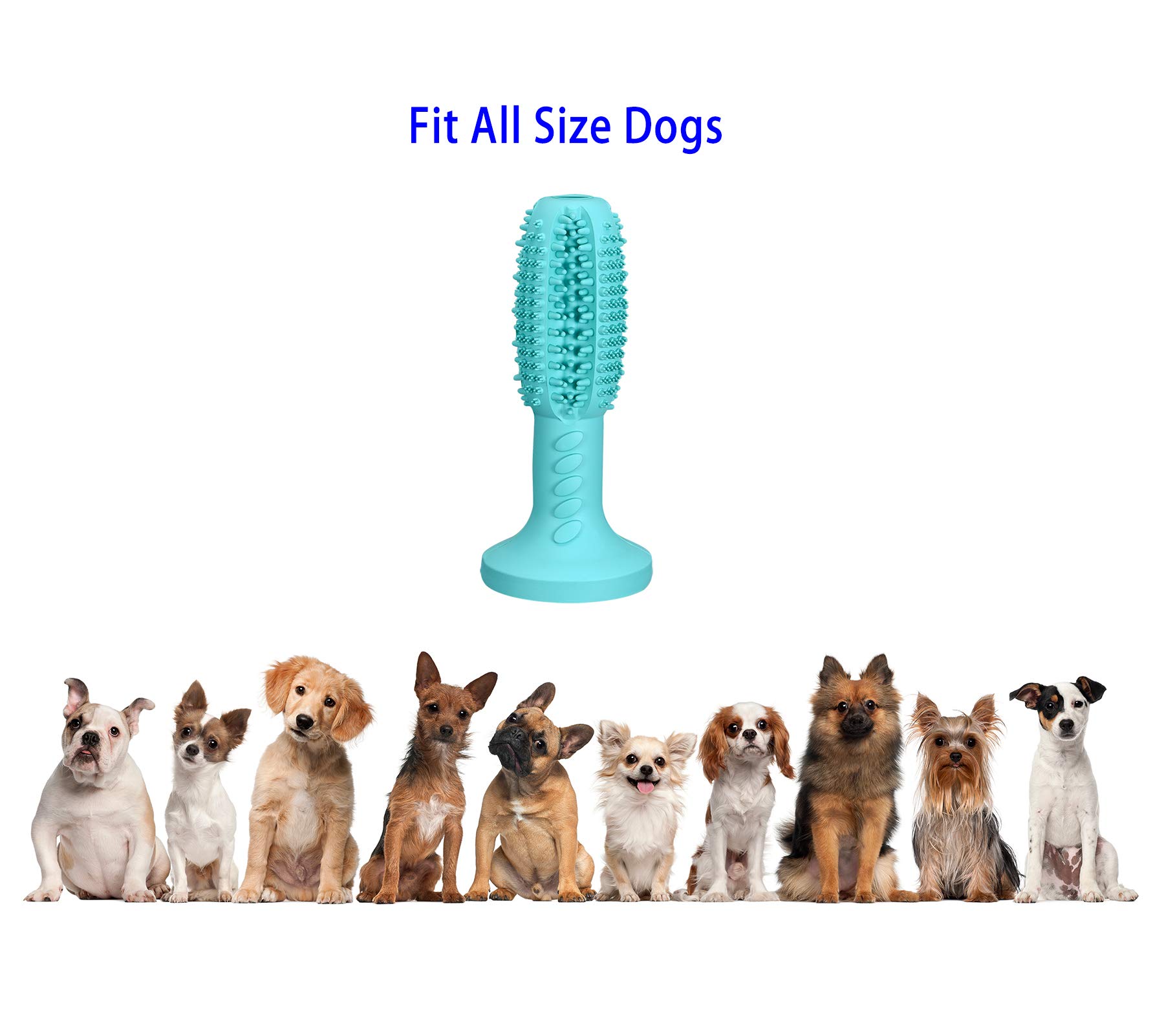 OUQIQI Dog Toothbrush Chew Toys Natural Rubber Toothbrush Toys for Dog