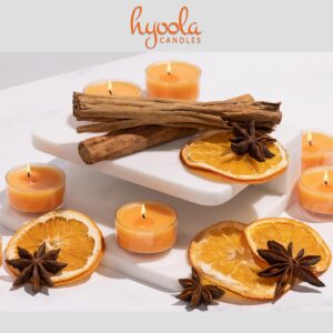 HYOOLA Scented Tealight Candles - Clear Cup - Winter Orange Tealight Candles Scented - 6 Hour Burn Time - 15 Pack - European Made