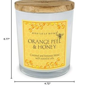 Red Leaf Home Orange Peel and Honey Candle, Large | Honeycomb Collection, Aromatherapy, Gift | 15.5oz Jar