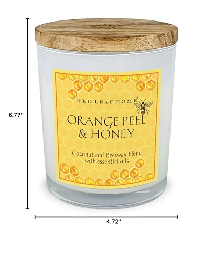 Red Leaf Home Orange Peel and Honey Candle, Large | Honeycomb Collection, Aromatherapy, Gift | 15.5oz Jar