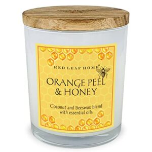 red leaf home orange peel and honey candle, large | honeycomb collection, aromatherapy, gift | 15.5oz jar