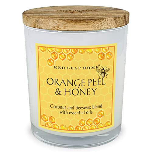 Red Leaf Home Orange Peel and Honey Candle, Large | Honeycomb Collection, Aromatherapy, Gift | 15.5oz Jar