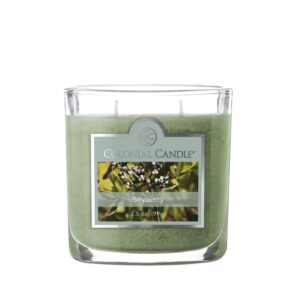 colonial candle bayberry scented jar candle, 2 wick, 3.5 oz, mottled wax candle