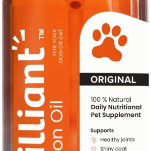 Brilliant Salmon Oil for Dogs, Cats & Puppies | Omega 3 Fish Oil Liquid Supplement with DHA, EPA Fatty Acids | Supports Skin and Coat, Immune System & Joint Function | Hofseth BioCare (34oz)