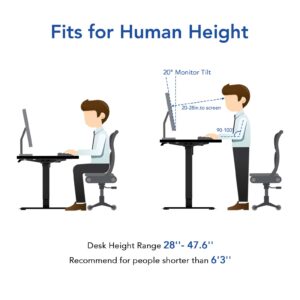 FLEXISPOT EC1 Essential Adjustable Desk Electric Standing Desk (48x24 Inch, Gray Frame+White Wood Grain)