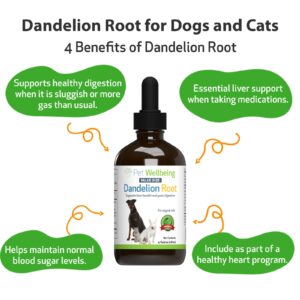 Pet Wellbeing Dandelion Root for Dogs & Cats - Liver & Heart Health, Digestive Function, Blood Sugar Support, Certified Organic - Veterinarian-Formulated Herbal Supplement 4 oz (118 ml)