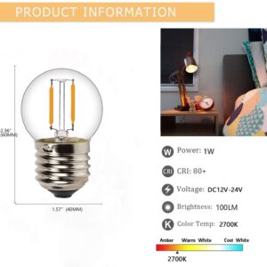 LDCHIUEN 12 Volt Low Voltage LED Light Bulbs - Soft Warm 2700K 1W (Only for 12V -24V DC/AC)- 15W Equivalent E26 Edison Base Small Globe Bulb for RV, Landscape Lights, 6PCS