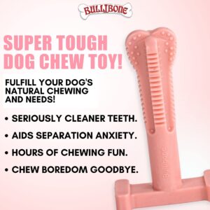 Bullibone SuperBrush: Dog Teeth Cleaning Brushing Toothbrush Stick - Long Lasting Nylon Pink Peppermint Chew Toy for Oral Care and Dental Health