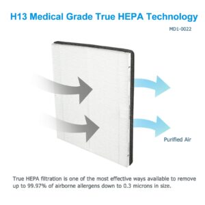 Flintar MD1-0022 True HEPA Replacement Filter, Compatible with Vornado Air Cleaner Purifier Model AC300, AC350, AC500, AC550, PCO200, PCO300, PCO375DC, PCO500 and PCO575DC (2)