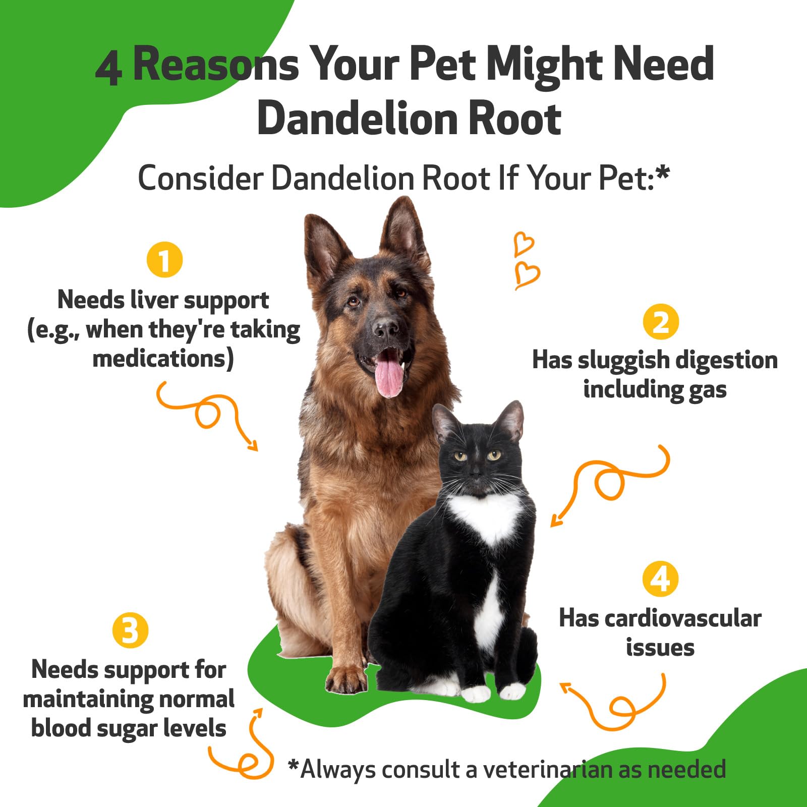 Pet Wellbeing Dandelion Root for Dogs & Cats - Liver & Heart Health, Digestive Function, Blood Sugar Support, Certified Organic - Veterinarian-Formulated Herbal Supplement 4 oz (118 ml)