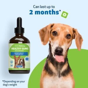 Pet Wellbeing Healthy Gums for Dogs - Gums & Dental Health, Oral Care, Healthy Breath, Coenzyme Q10, Zinc Oxide, Calendula, Marshmallow Root - Veterinarian-Formulated Holistic Topical 4 oz (118 ml)