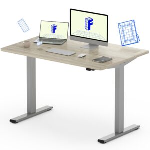 flexispot ec1 essential adjustable desk electric standing desk (48x24 inch, gray frame+white wood grain)