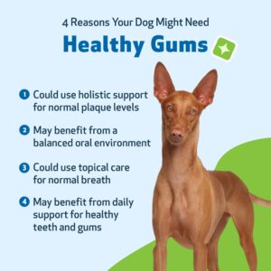 Pet Wellbeing Healthy Gums for Dogs - Gums & Dental Health, Oral Care, Healthy Breath, Coenzyme Q10, Zinc Oxide, Calendula, Marshmallow Root - Veterinarian-Formulated Holistic Topical 4 oz (118 ml)