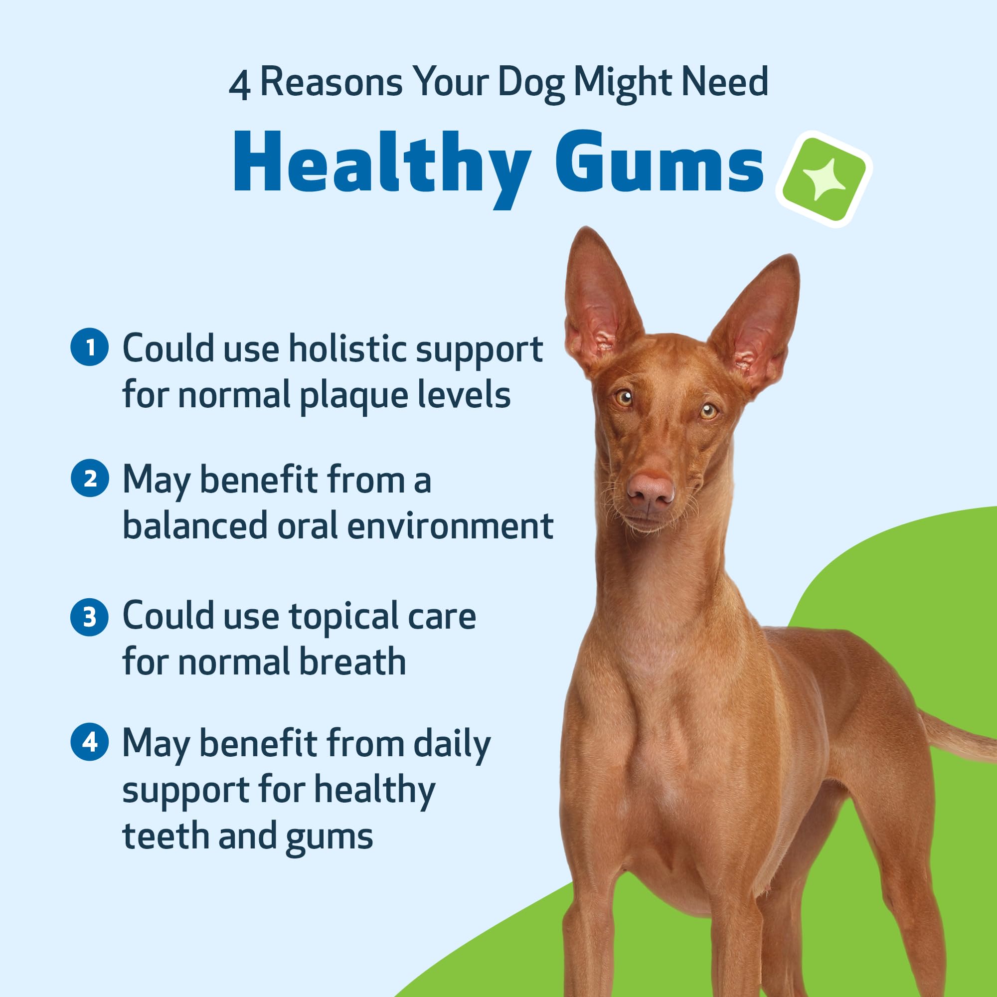 Pet Wellbeing Healthy Gums for Dogs - Gums & Dental Health, Oral Care, Healthy Breath, Coenzyme Q10, Zinc Oxide, Calendula, Marshmallow Root - Veterinarian-Formulated Holistic Topical 4 oz (118 ml)