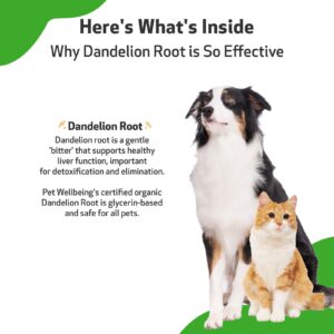 Pet Wellbeing Dandelion Root for Dogs & Cats - Liver & Heart Health, Digestive Function, Blood Sugar Support, Certified Organic - Veterinarian-Formulated Herbal Supplement 4 oz (118 ml)