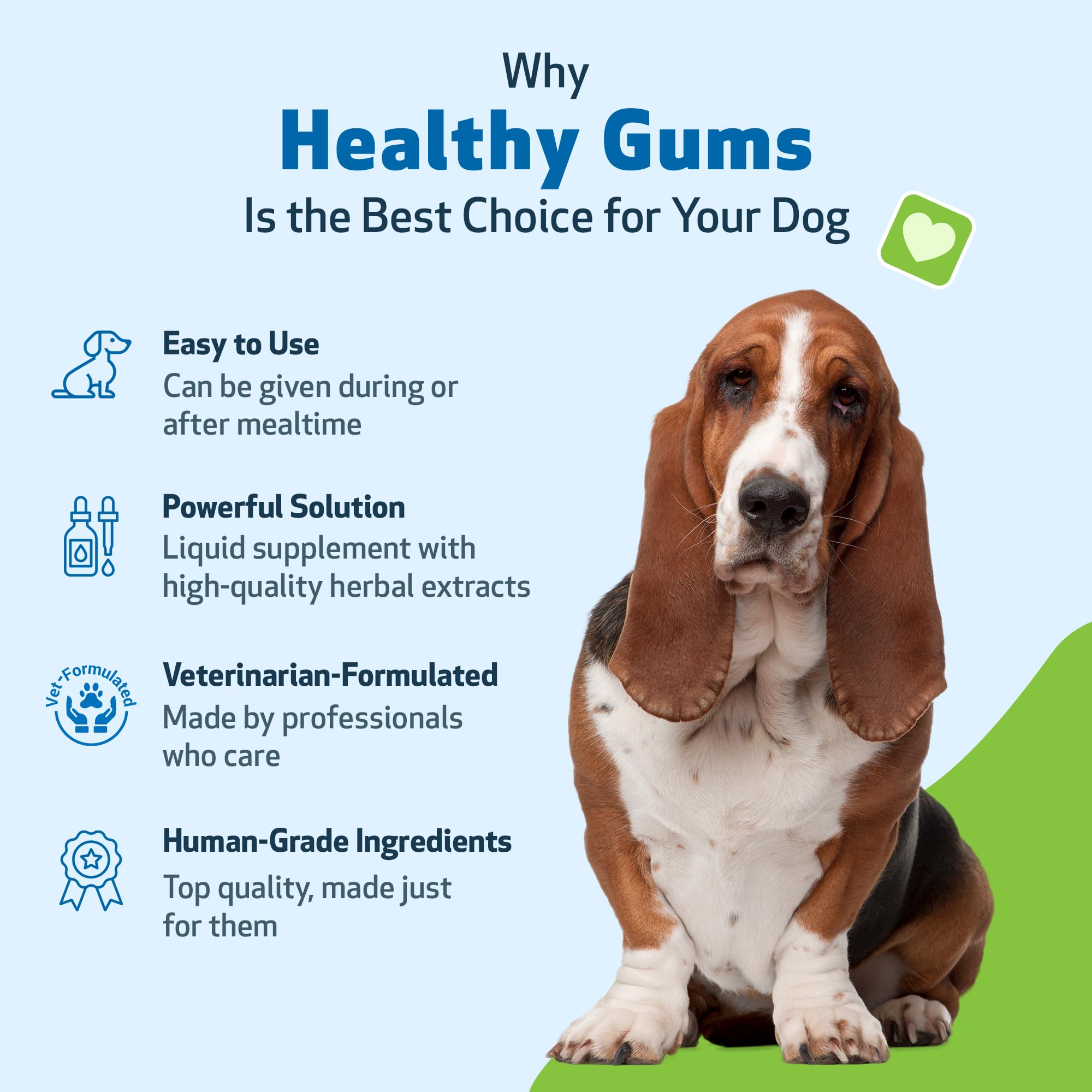 Pet Wellbeing Healthy Gums for Dogs - Gums & Dental Health, Oral Care, Healthy Breath, Coenzyme Q10, Zinc Oxide, Calendula, Marshmallow Root - Veterinarian-Formulated Holistic Topical 4 oz (118 ml)