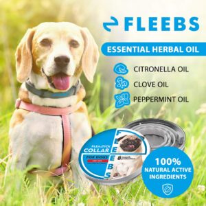 Flea Collar for Dogs, Flea and Tick Prevention for Dogs, Puppy Natural Flea Collar, Fits All Dogs Pet Supplies