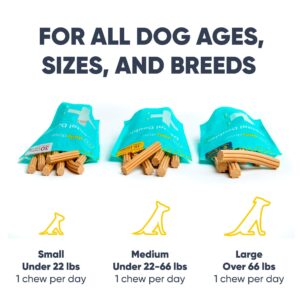 dailydose Dental Doubles Dog Treats, Fresh Breath, Plaque Removal, Grain-Free, Preservative-Free, no Artificial Colors, Daily Treat for Large Sized Dogs