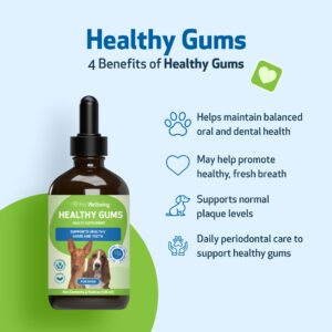 Pet Wellbeing Healthy Gums for Dogs - Gums & Dental Health, Oral Care, Healthy Breath, Coenzyme Q10, Zinc Oxide, Calendula, Marshmallow Root - Veterinarian-Formulated Holistic Topical 4 oz (118 ml)