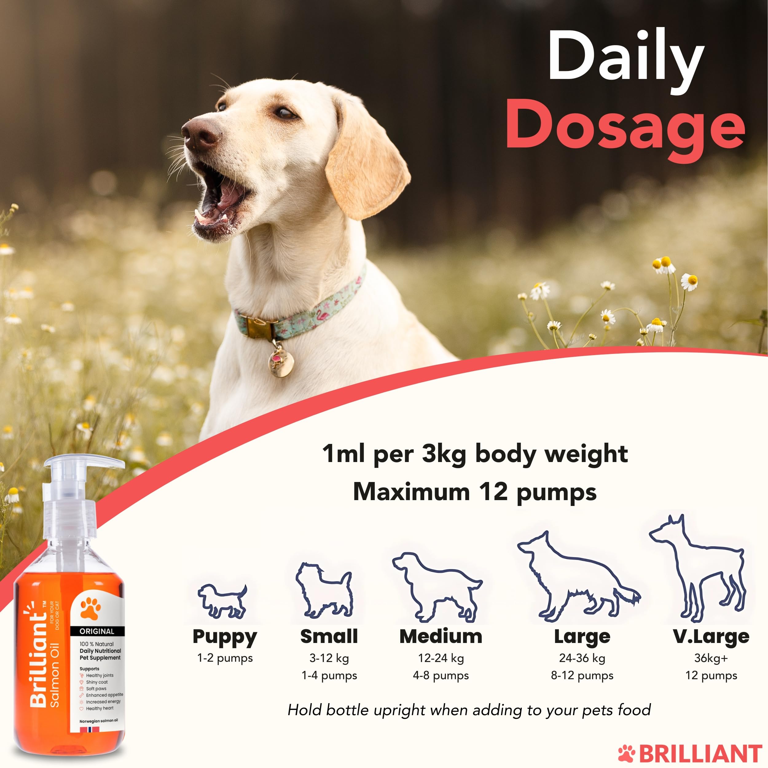 Brilliant Salmon Oil for Dogs, Cats & Puppies | Omega 3 Fish Oil Liquid Supplement with DHA, EPA Fatty Acids | Supports Skin and Coat, Immune System & Joint Function | Hofseth BioCare (34oz)