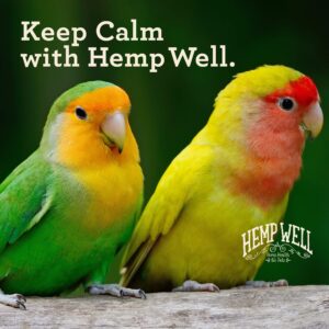 Hemp Well Calm Bird Oil — Relieves Anxiety, Calms and Relaxes Your Bird, Reduces Destructive Behavior, Organically Sourced – 2 Ounces