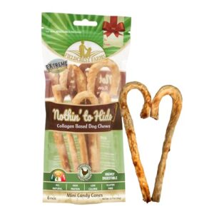 fieldcrest farms nothin' to hide mini holiday candy cane chicken flavor dog chews, rawhide-free, easily digestible, long-lasting, all-natural treats for moderate chewers up to 15lbs, 6-ct