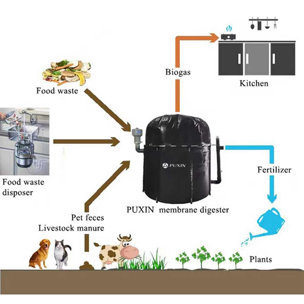 PUXIN Home Biogas Digester Systems, PX-2.65, 59 * 59 inch, Backyard Biodigester, Biogas Plant to Replace Composter