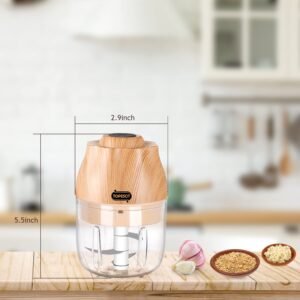 Electric Mini Chopper Food Processor, TOPESCT Portable Garlic Grinder, Cordless Small Food Chopper with USB Charging for Ginger Onion Chili Vegetables (250 ml)