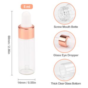 Clear Glass Dropper Bottles,50 Packs Essential Oils Bottles With Rose Gold Lids Perfume Sample Vials Travel DIY Cosmetic Liquid Containers 2 Pipettes Included (5ml(1/6oz))