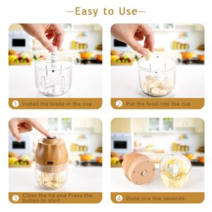 Electric Mini Chopper Food Processor, TOPESCT Portable Garlic Grinder, Cordless Small Food Chopper with USB Charging for Ginger Onion Chili Vegetables (250 ml)