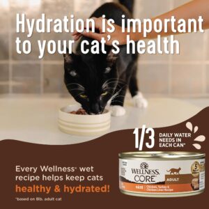 Wellness CORE+ Digestive Health Grain-Free Natural Wet Cat Food, Sensitive Stomach, Easily Digestible (Salmon Pate, 3 Ounce Can, 12 Pack)