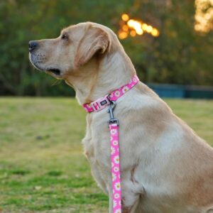 Olahibi Dog Collar and Leash Set, Cute Pink Daisy Pattern, Polyester Material, 5ft Leash, for Small Dogs.(S, Daisy Set)