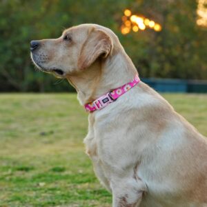 Olahibi Dog Collar and Leash Set, Cute Pink Daisy Pattern, Polyester Material, 5ft Leash, for Small Dogs.(S, Daisy Set)