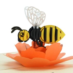 Diese-Klappkarten Birthday Card HappBEE Birthday | Pop up Happ Birthday Card featuring a 3D Bee on a Flower | Funny Bee Hive Greeting Card or Birthday Gift Voucher, G27