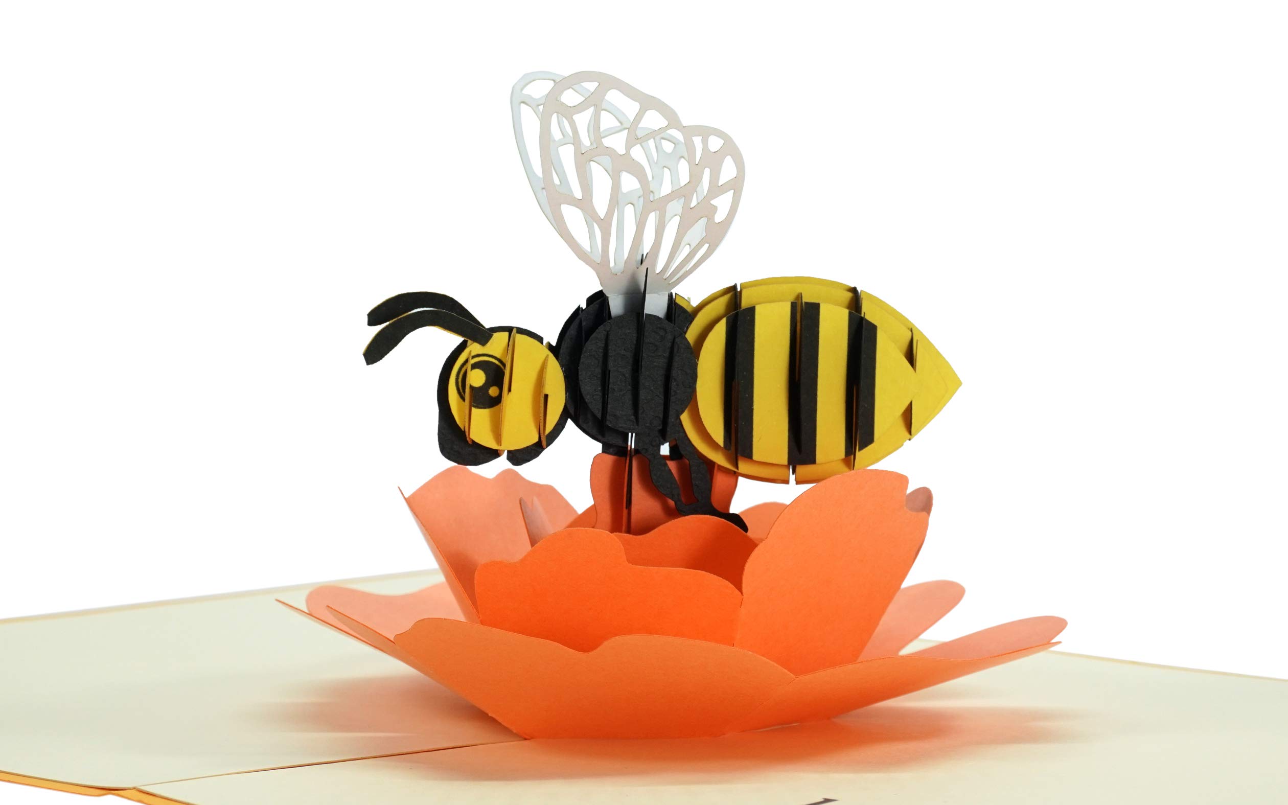 Diese-Klappkarten Birthday Card HappBEE Birthday | Pop up Happ Birthday Card featuring a 3D Bee on a Flower | Funny Bee Hive Greeting Card or Birthday Gift Voucher, G27