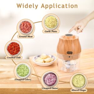 Electric Mini Chopper Food Processor, TOPESCT Portable Garlic Grinder, Cordless Small Food Chopper with USB Charging for Ginger Onion Chili Vegetables (250 ml)