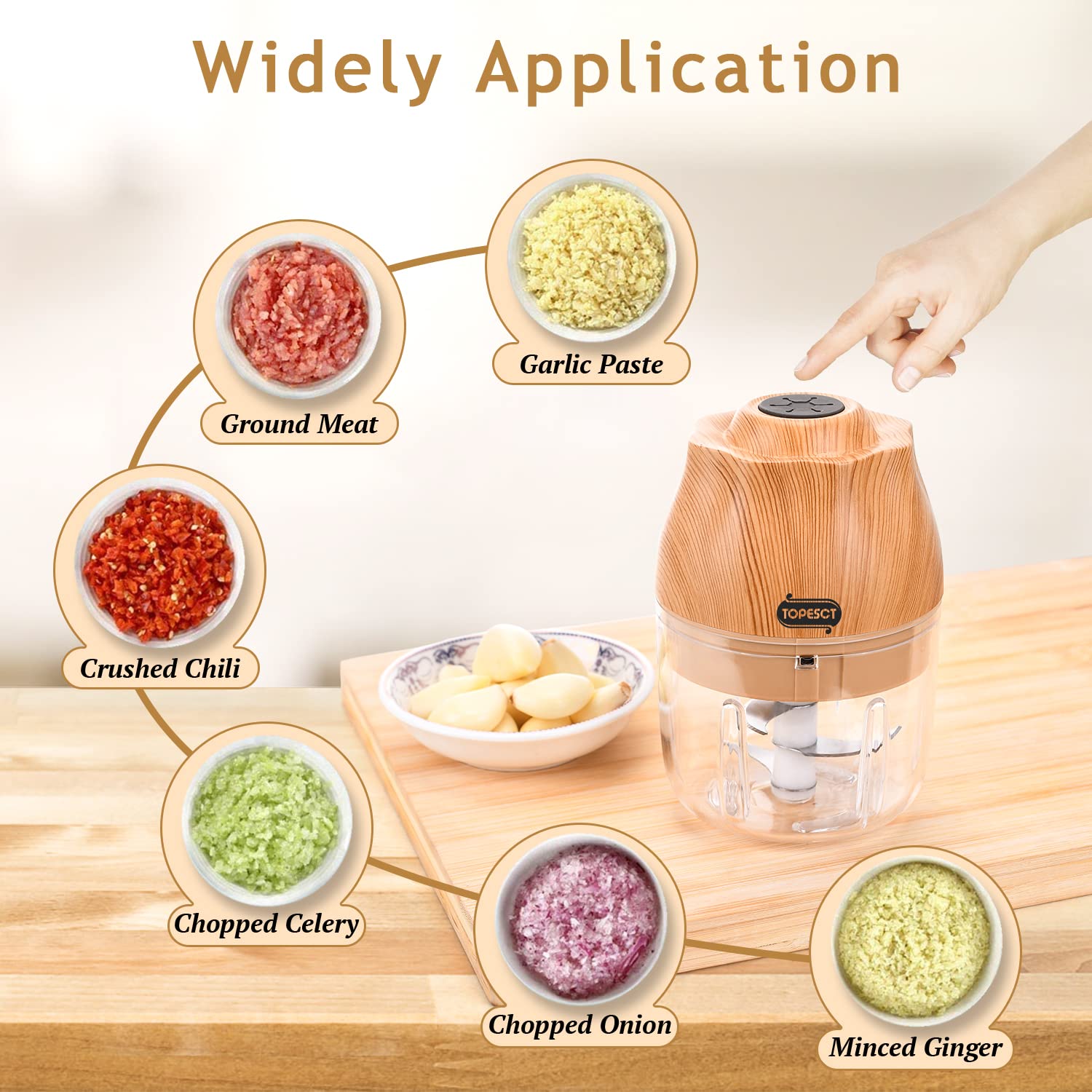 Electric Mini Chopper Food Processor, TOPESCT Portable Garlic Grinder, Cordless Small Food Chopper with USB Charging for Ginger Onion Chili Vegetables (250 ml)