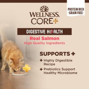 Wellness CORE+ Digestive Health Grain-Free Natural Wet Cat Food, Sensitive Stomach, Easily Digestible (Salmon Pate, 3 Ounce Can, 12 Pack)