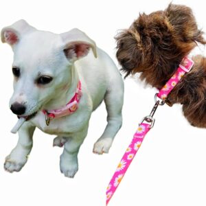 Olahibi Dog Collar and Leash Set, Cute Pink Daisy Pattern, Polyester Material, 5ft Leash, for Small Dogs.(S, Daisy Set)